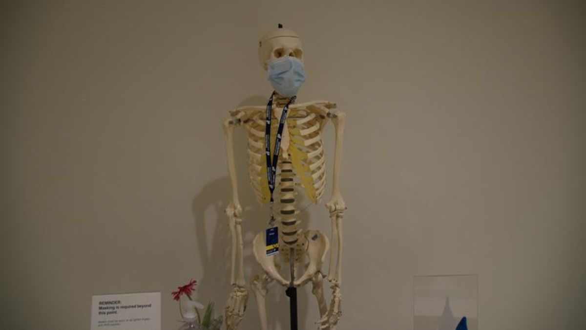 Continuous masking to not be required at AHS facilities as of June 19 ...