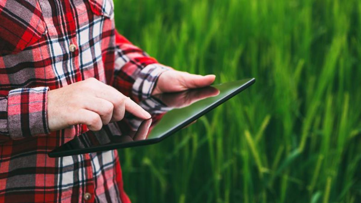 Credit Unions of Alberta launch Women in Ag grant | Lethbridge News Now