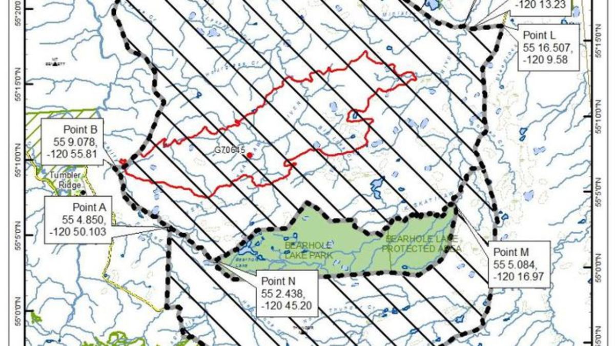 BC Wildfire Service expands Area Restriction Order around South Peace ...
