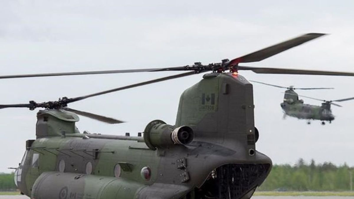 Two RCAF members missing, two rescued after helicopter crash near ...
