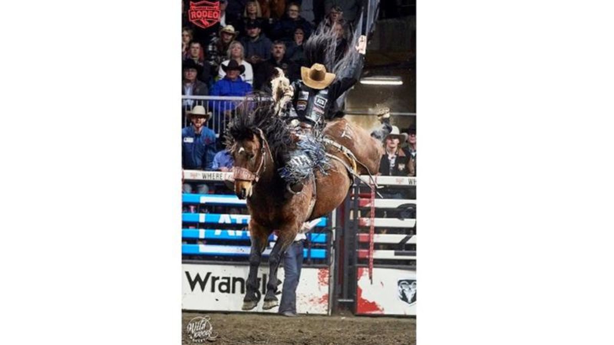 Wildwood Bronc Bustin’, Stavely & Innisfail Pro Rodeos | rdnewsnow.com