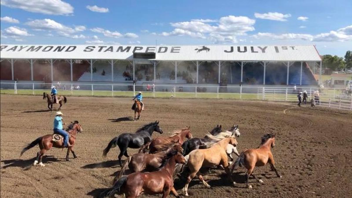 Raymond Stampede to bid adieu to original site after 121 years ...