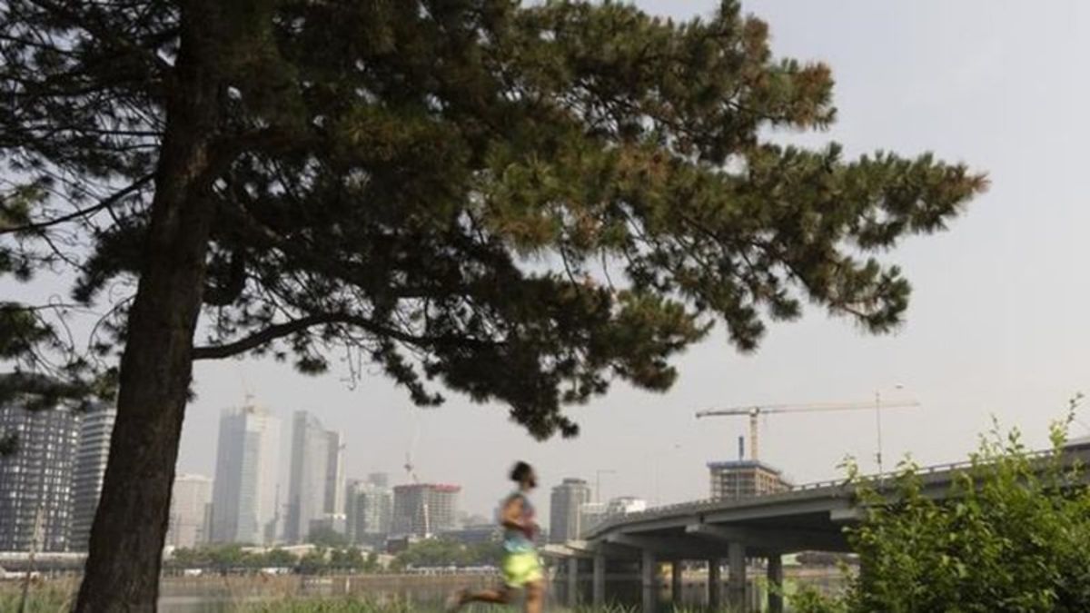 Smog, air quality alerts in place across much of Quebec as wildfires ...