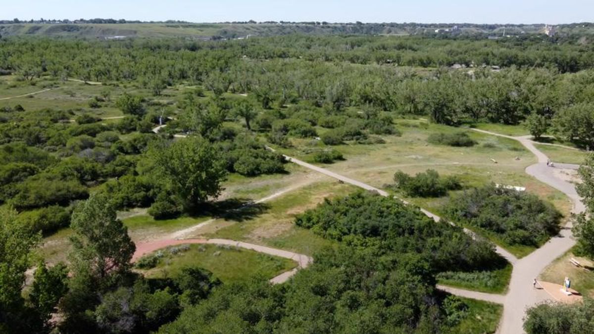 Art in Police Point Park back again | CHAT News Today