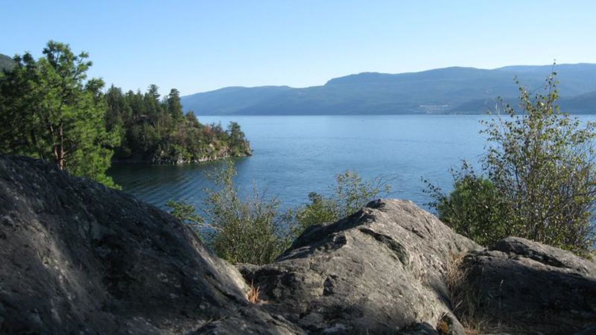 New trail, bike track and more parking for Ellison Park | Vernon Matters