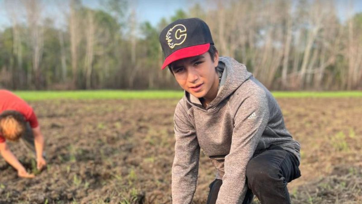 Cumberland House Cree Nation Expands Food and Medicine Forest | paNOW