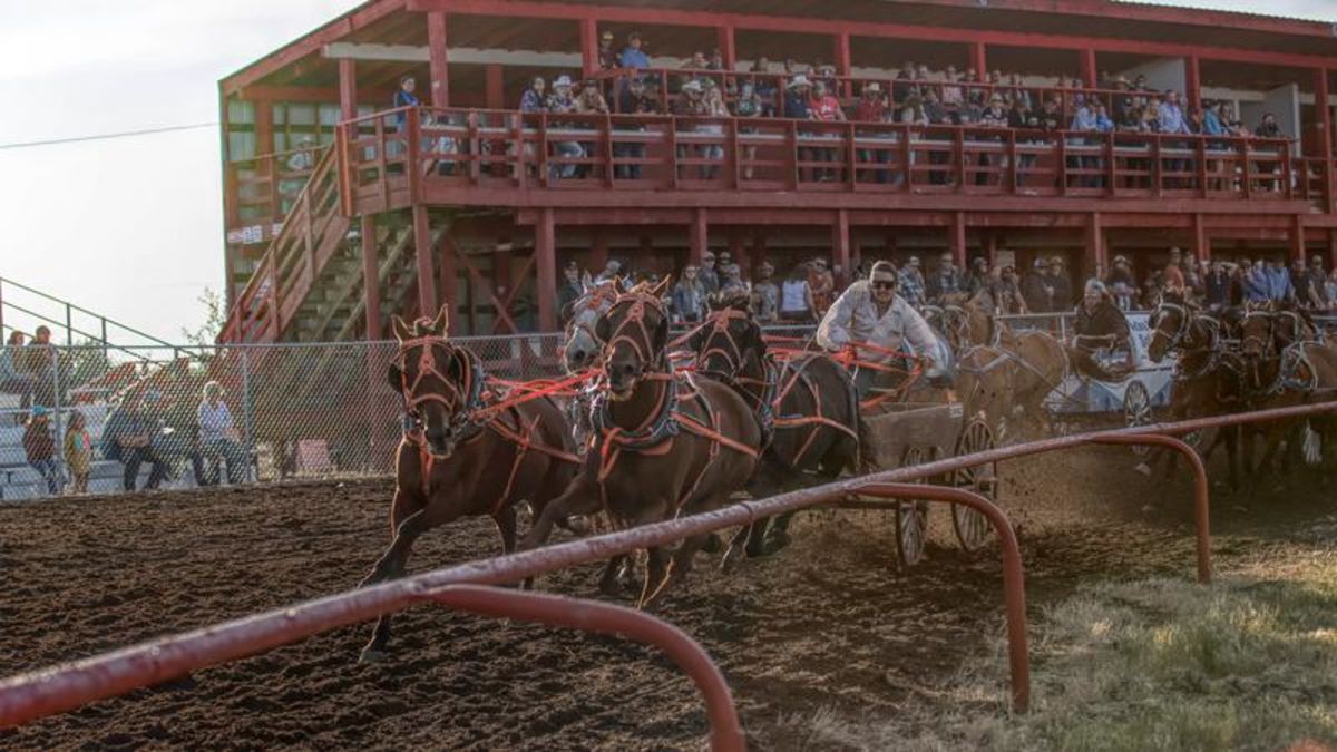 105th Teepee Creek Stampede kicks off Thursday | EverythingGP
