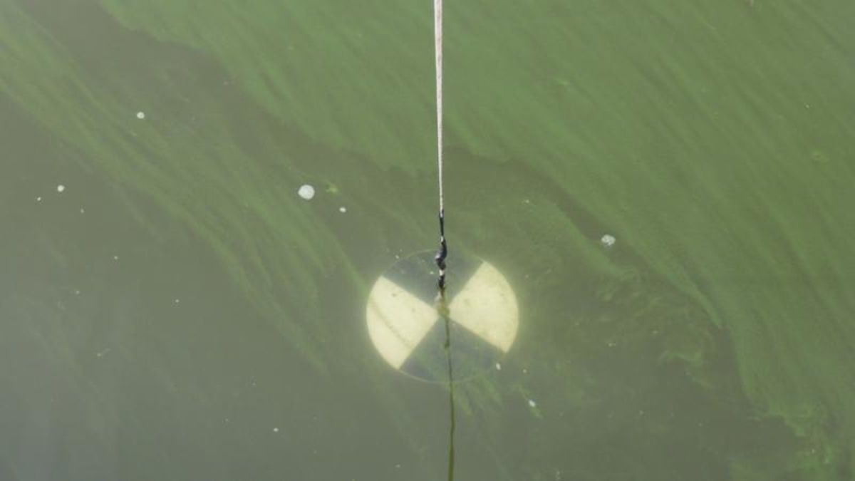 Interior Health closes Nicola Lake beaches due to harmful algae bloom ...