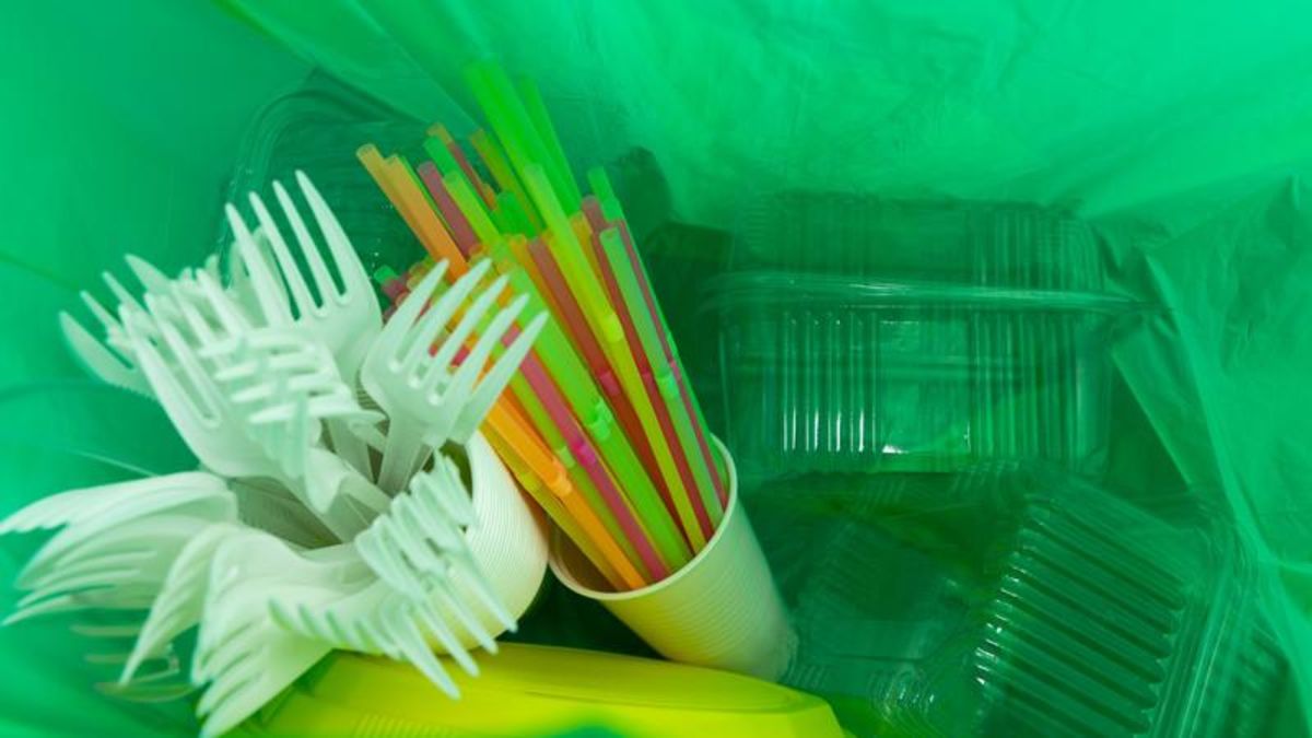 Single-use plastic limits being expanded | Vernon Matters