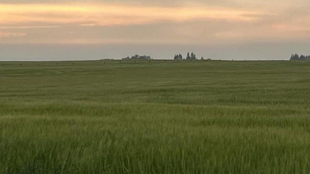 Lots of moisture across Central Alberta region | rdnewsnow.com