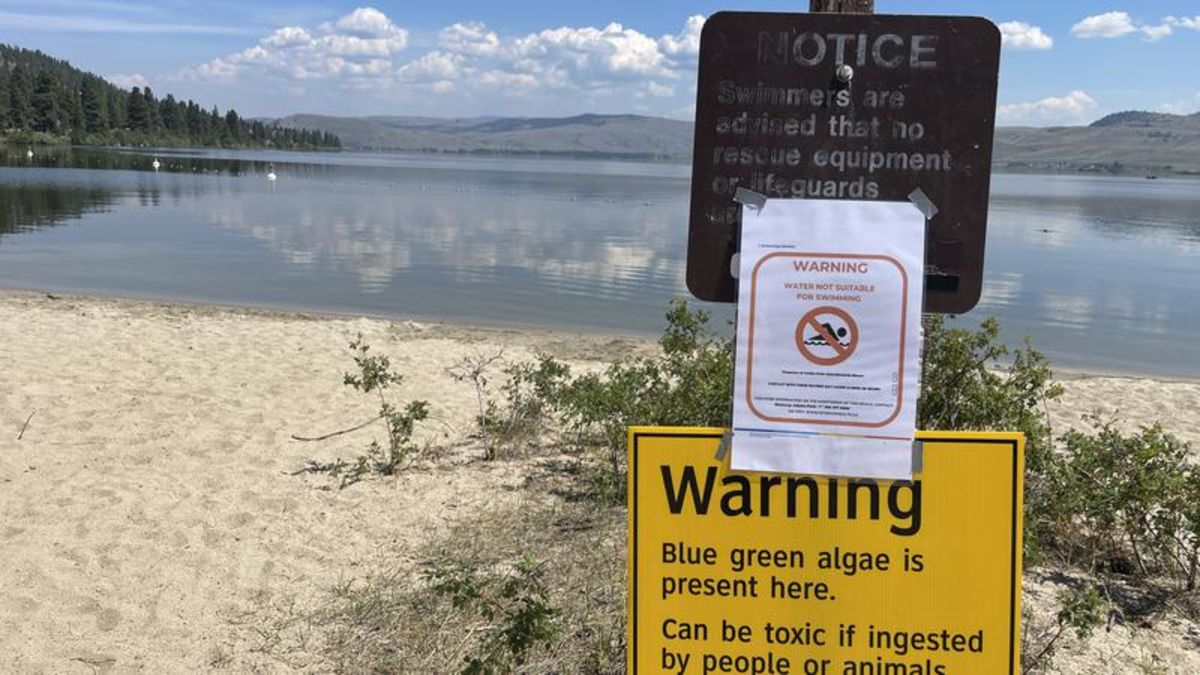 Nicola Lake beaches closed due to algae bloom | CFJC Today Kamloops