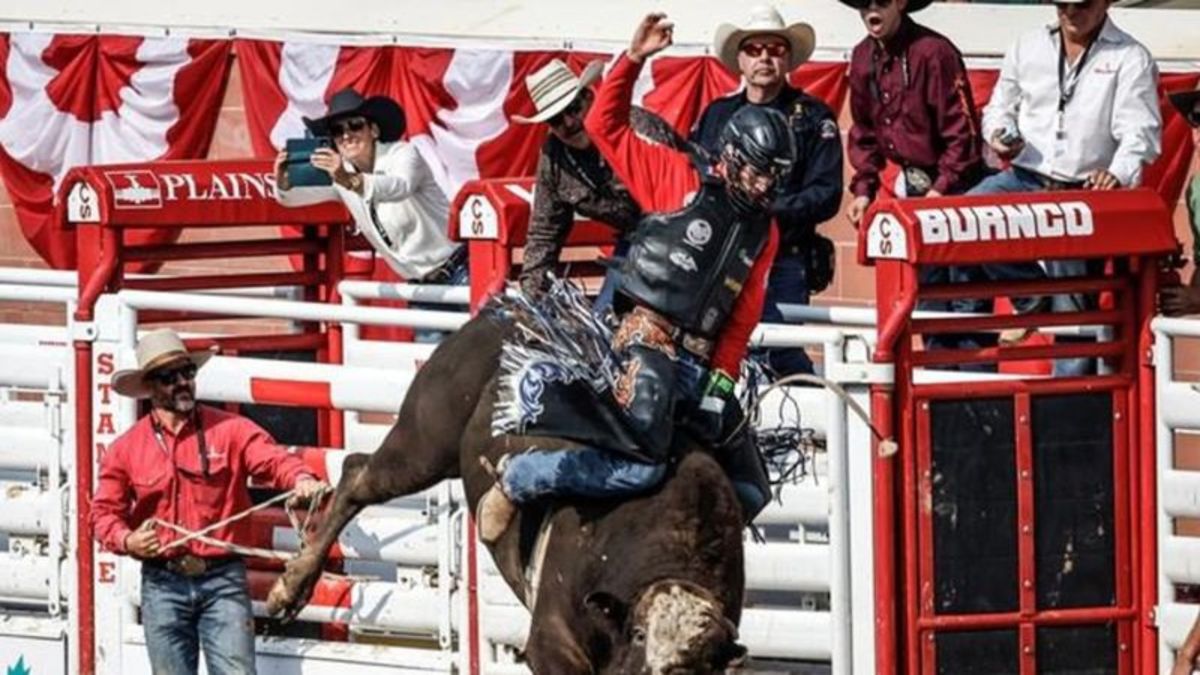 Four Canadians prevail in Calgary Stampede rodeo finals | rdnewsnow.com