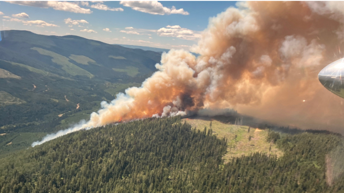 Wildfire west of Adams Lake measured at 165 hectares, growing at ...