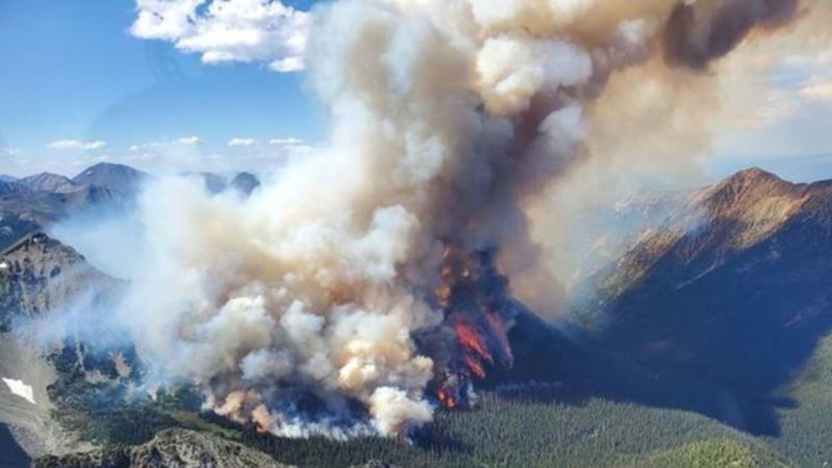 More military expected to deploy to help B.C. wildfire fight, minister ...