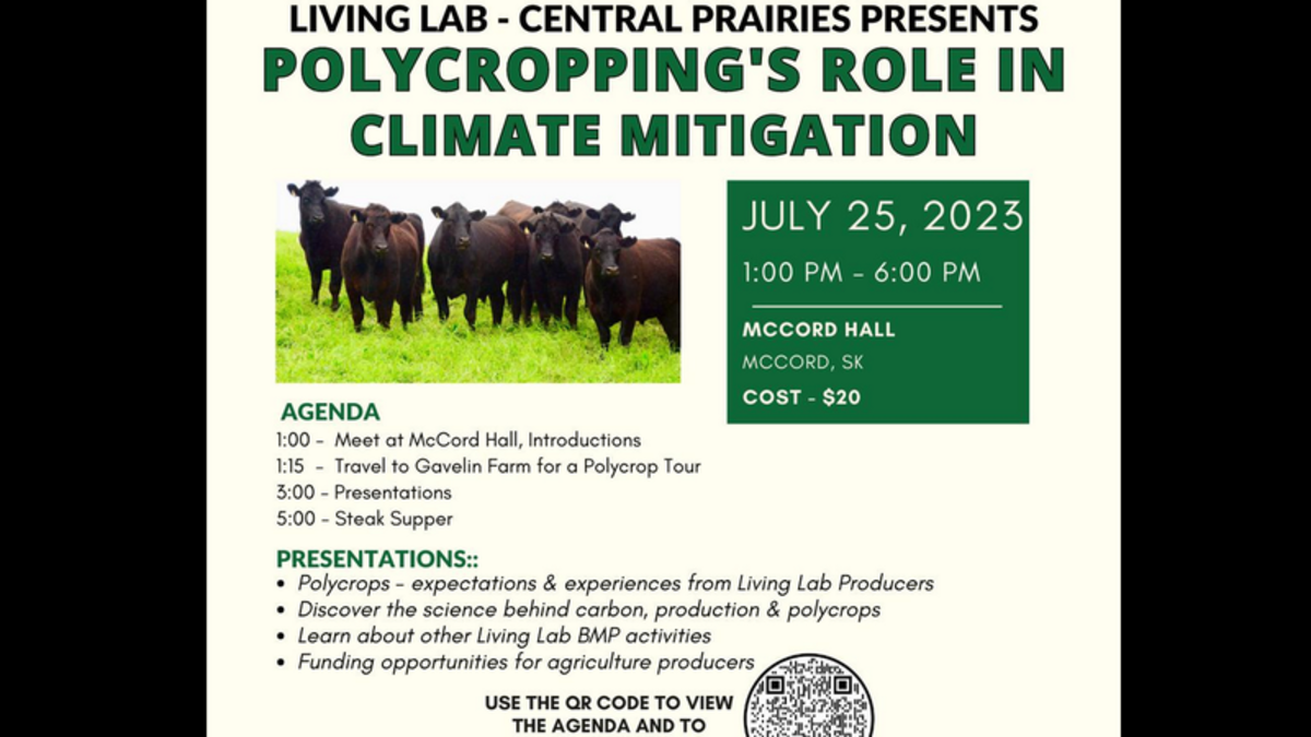 Polycropping’s Role in Climate Mitigation | battlefordsNOW