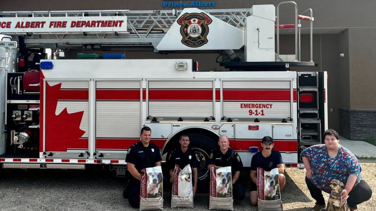 Firefighters rescue SPCA pups | paNOW