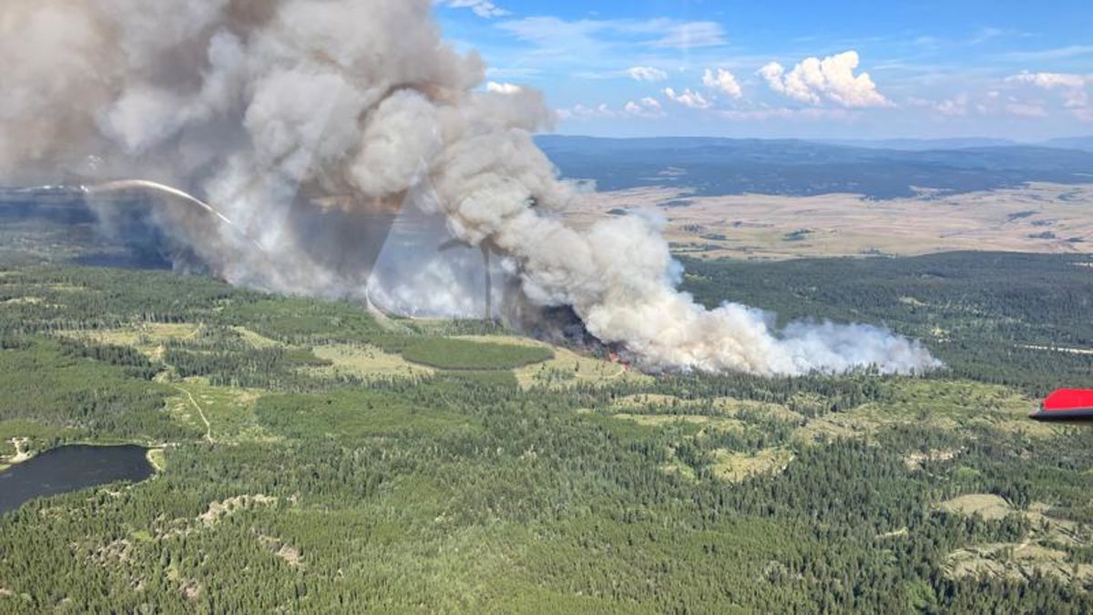 New 90-ha fire south of Kamloops causes huge, visible smoke plume Friday | CFJC Today Kamloops
