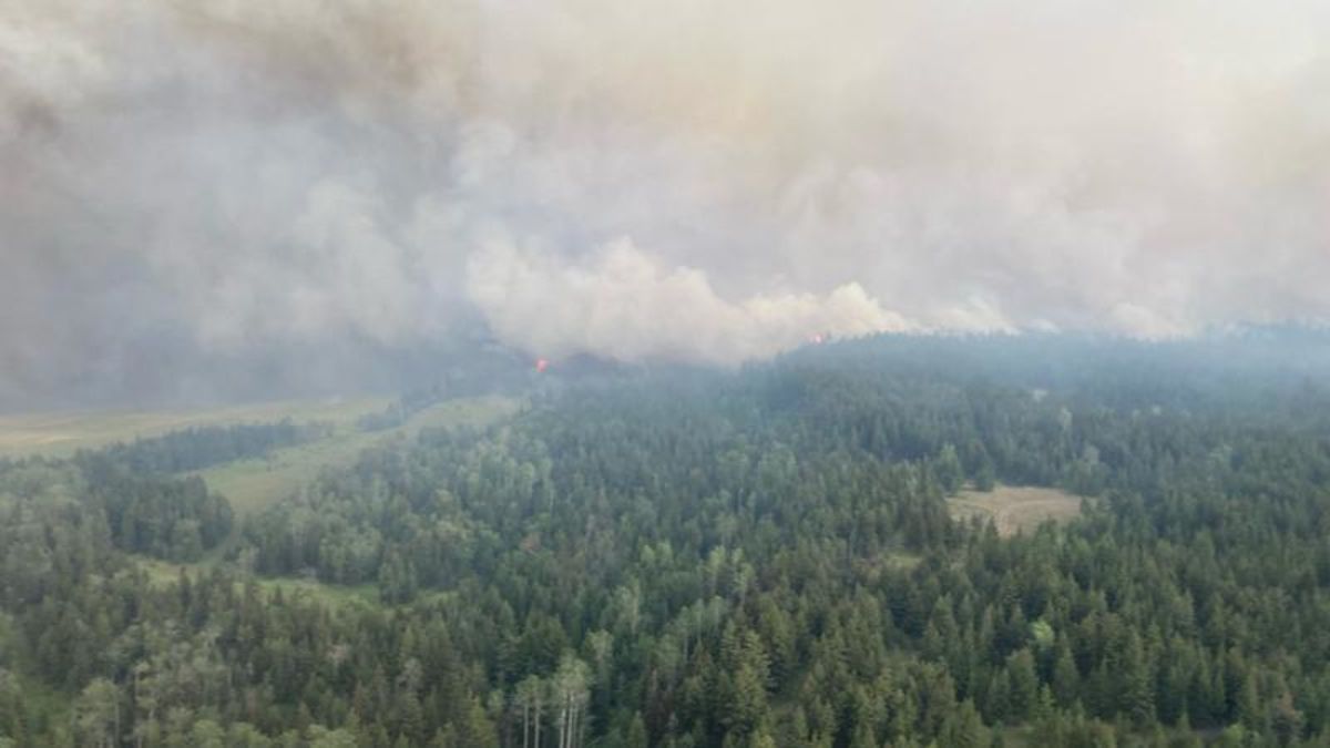 Ross Moore Lake wildfire expands to 1,800 hectares as crews continue to ...