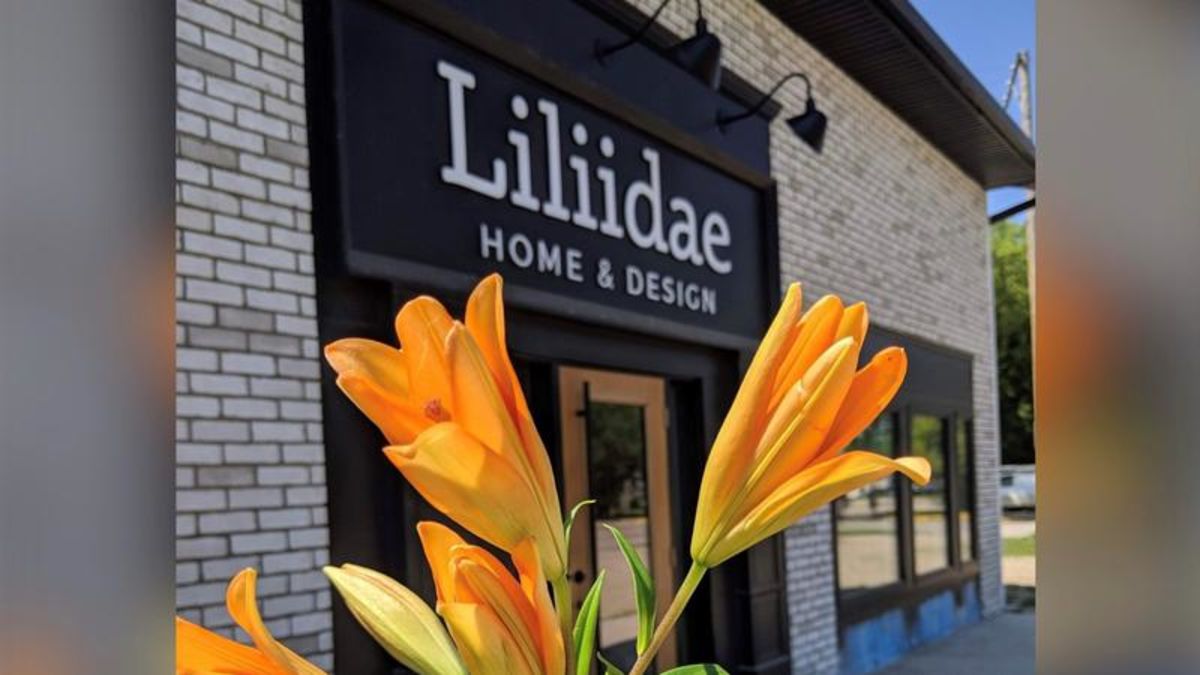 Liliidae – helping to make your house a home | northeastNOW