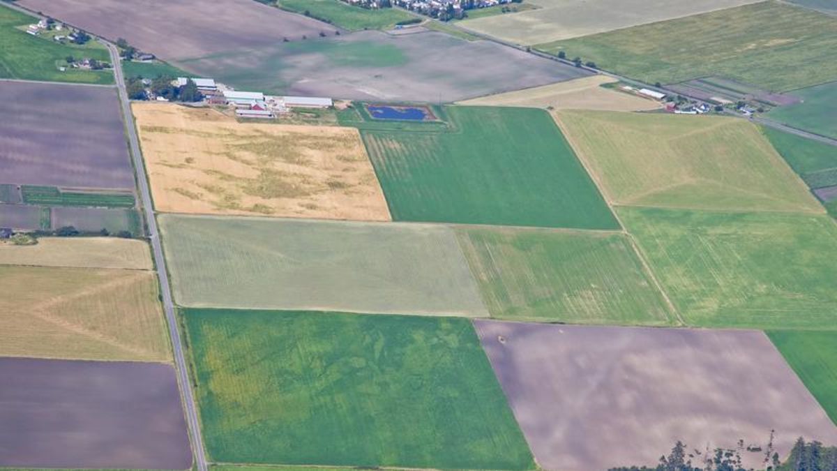 Village of Muenster, Englefeld receive TSS funding for regional land ...