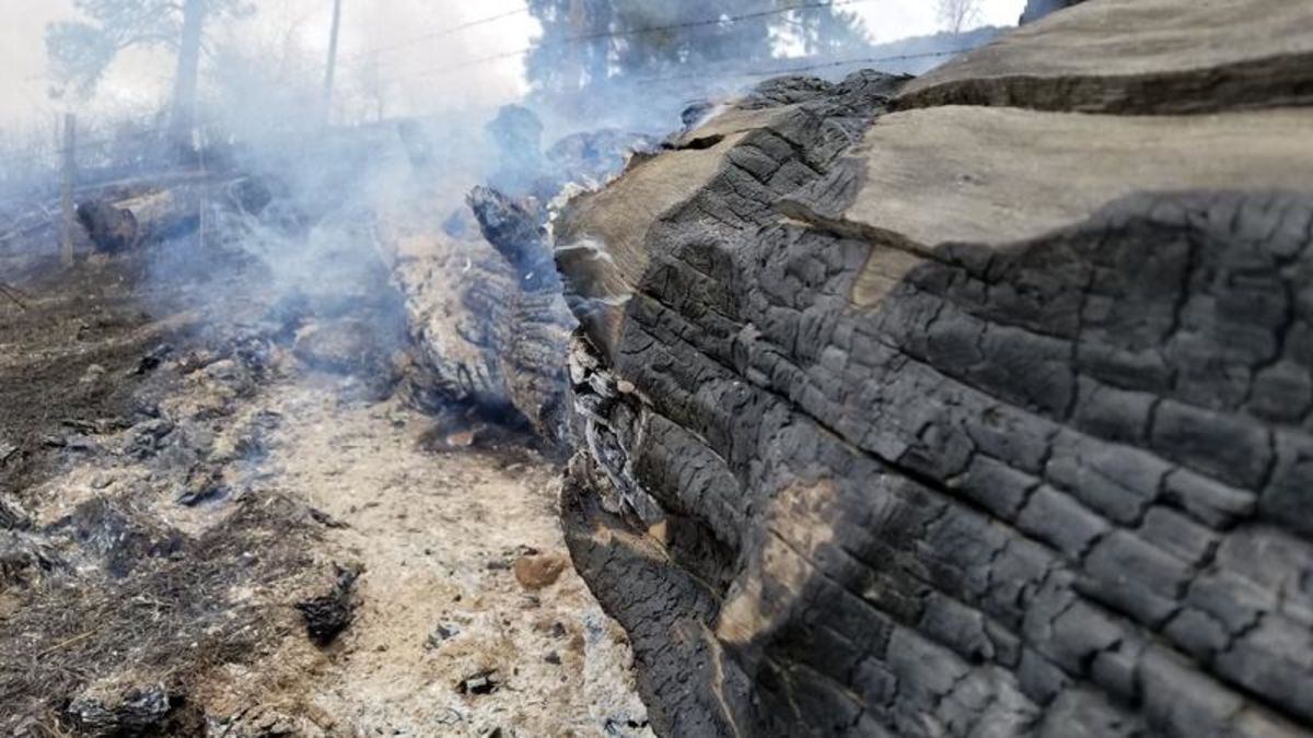 Ross Moore Lake fire size unchanged; crews make progress on containment ...