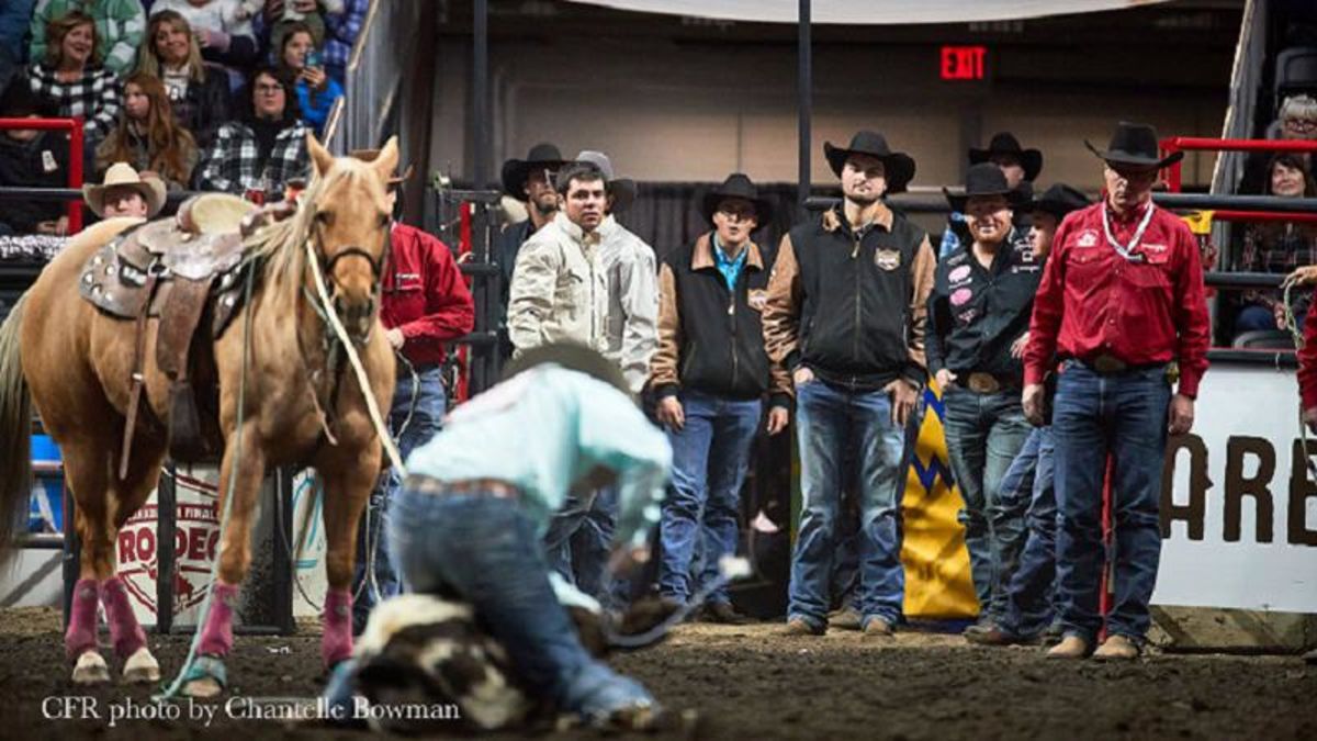 CPRA launches Video Review Trial | rdnewsnow.com