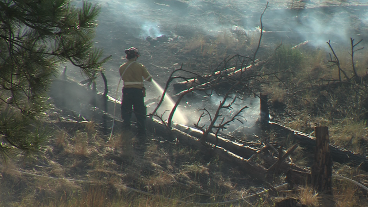 Wildfire crews expand containment efforts on Ross Moore Lake wildfire ...