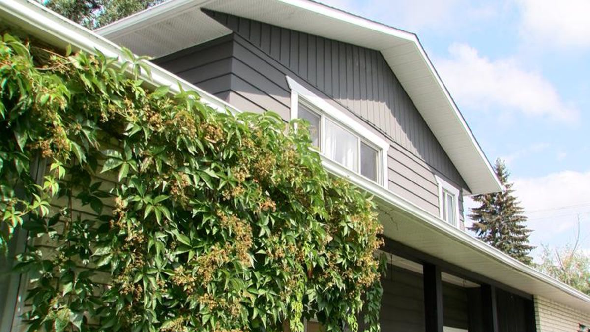 How to be fire smart at home this summer | CKPG Today