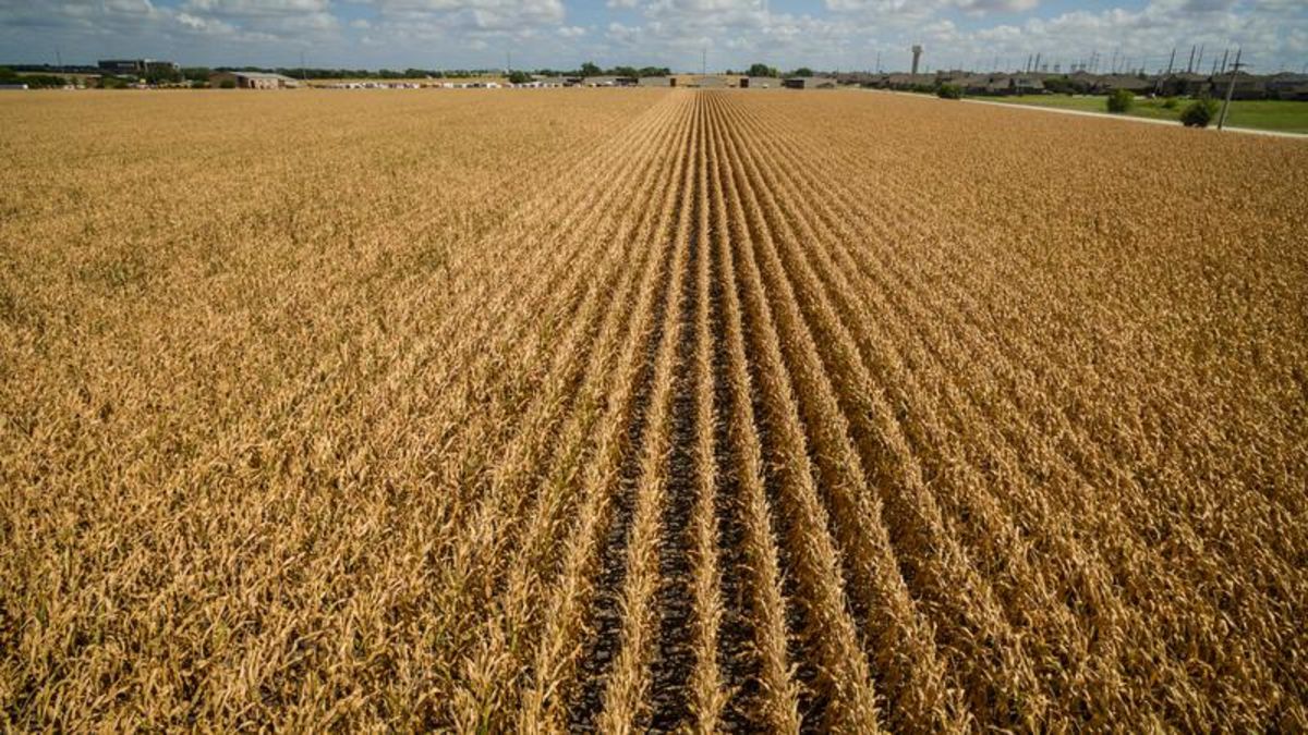 Sask. Water Security Agency helping farmers hit by drought | paNOW