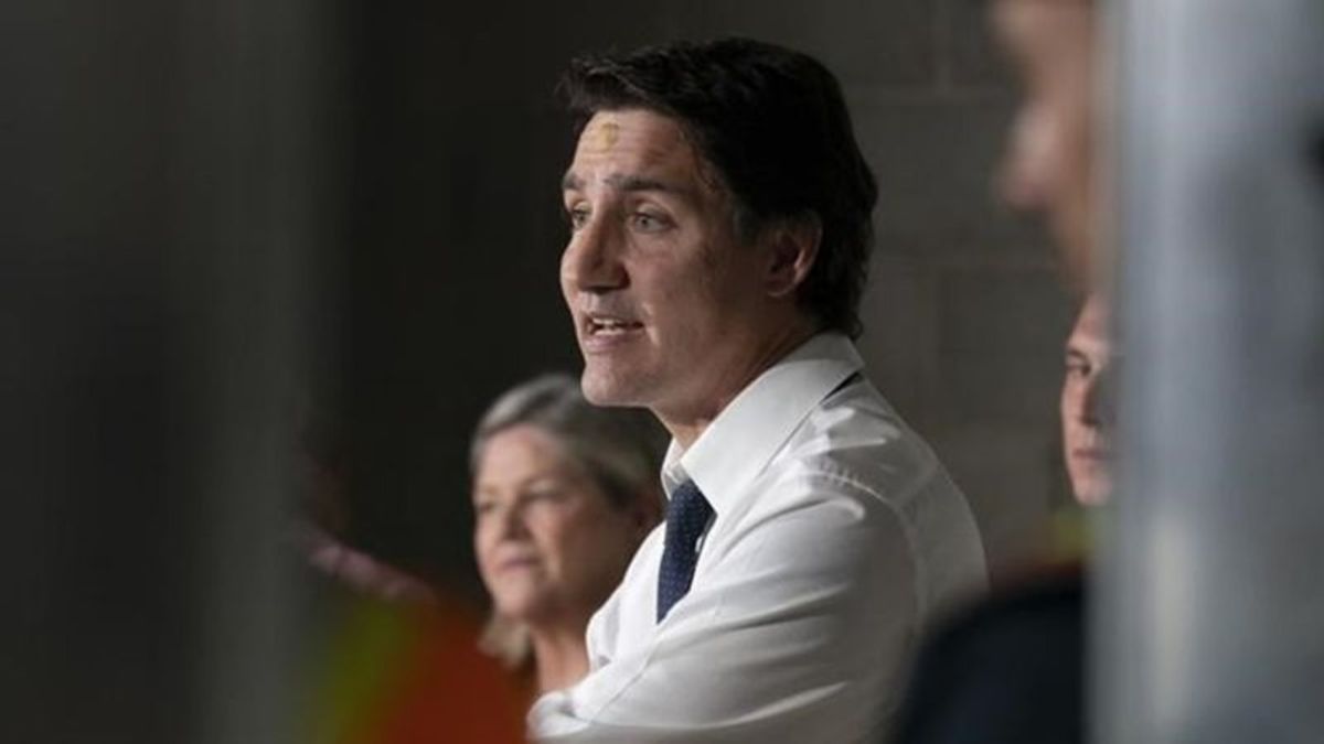 Trudeau appears at news conference with bandage after bumping head ...