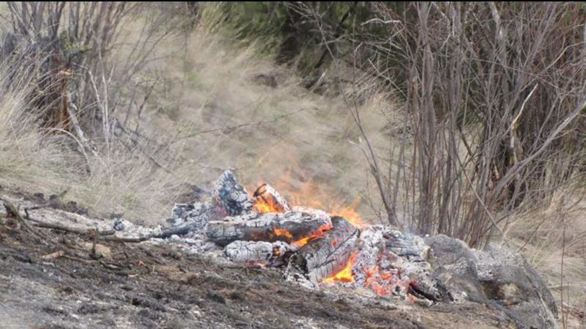 Fine of $2,300 issued for contravening fire ban | Vernon Matters