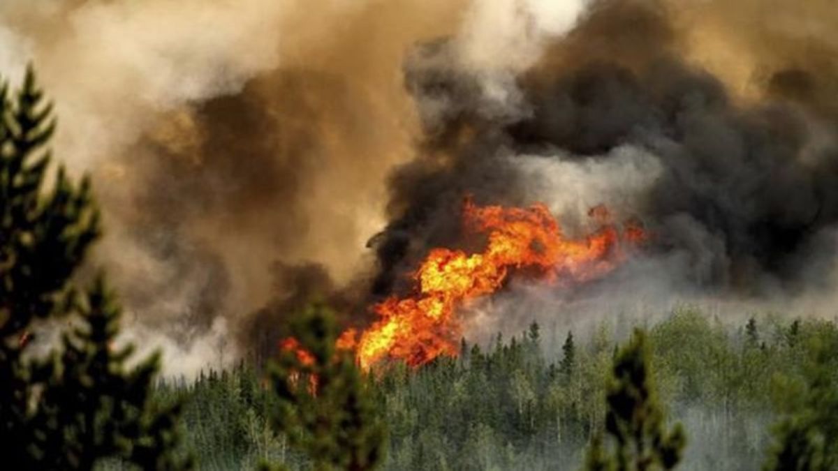 Fundraiser honours Zak Muise, who died fighting wildfire in B.C ...