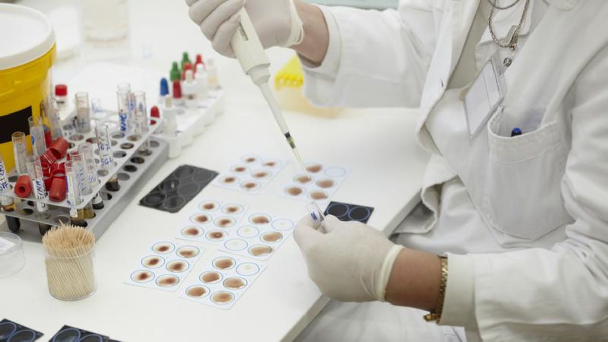 Community lab appointments added in Calgary area | Lethbridge News Now