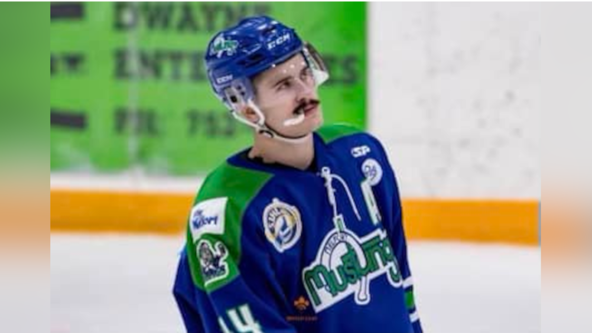 Tye Scherger announced as Mustangs’ new assistant coach | northeastNOW