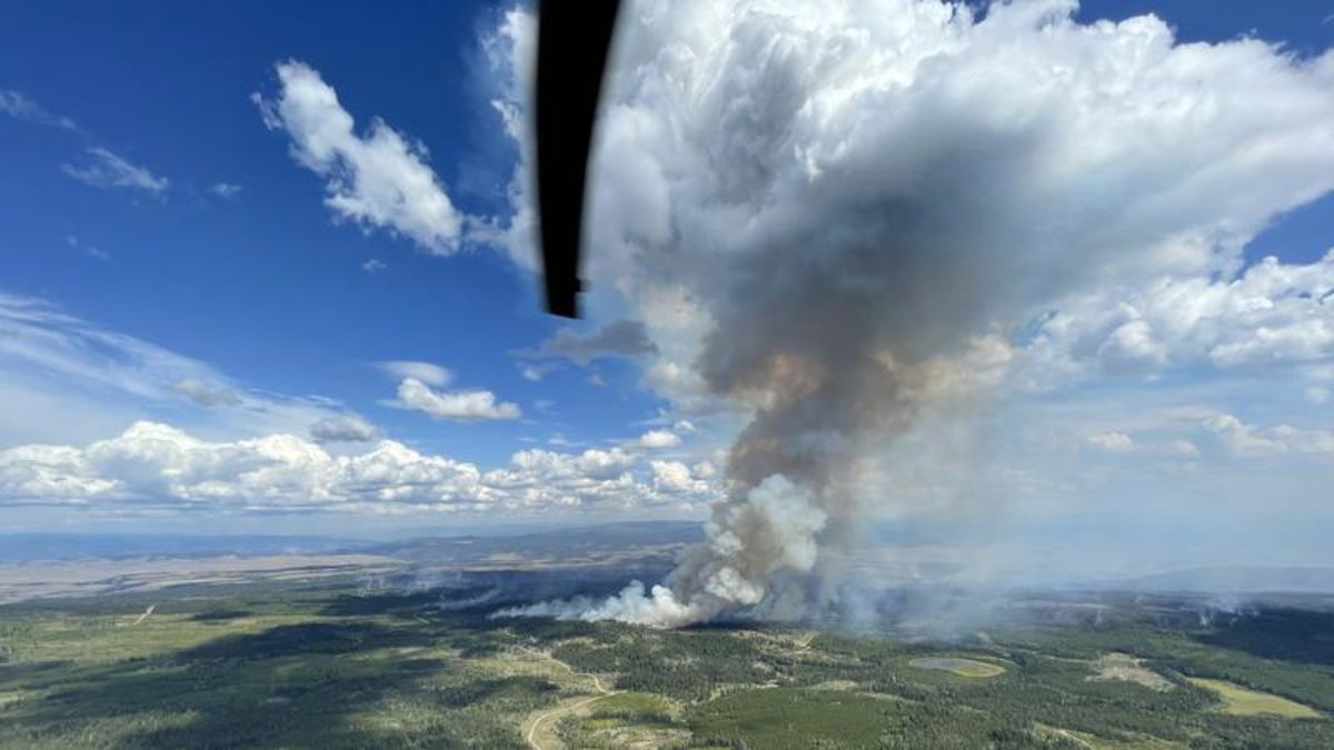 Kamloops EOC closes as crews edge closer to full containment of Ross ...
