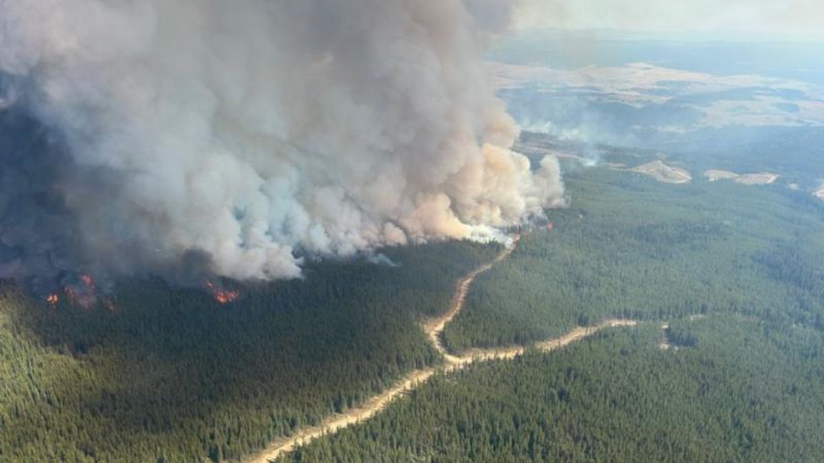 Wildfire service expects to finish planned ignitions around Ross Moore ...