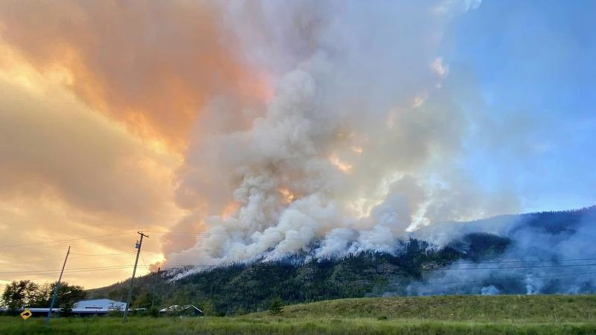 Special air quality statement in southwest Alberta due to wildfire ...