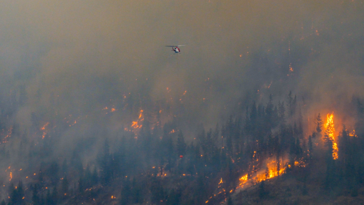 Preparations underway for further evacuations in Shuswap, call out for ...