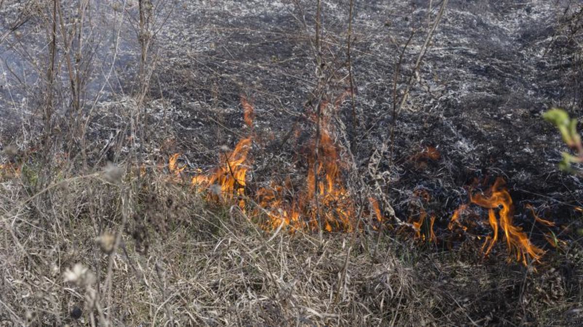 NBFD battling blaze behind Don Ross Centre | battlefordsNOW
