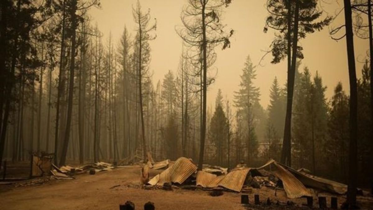 A look at the number of wildfires and evacuations in B.C. | rdnewsnow.com