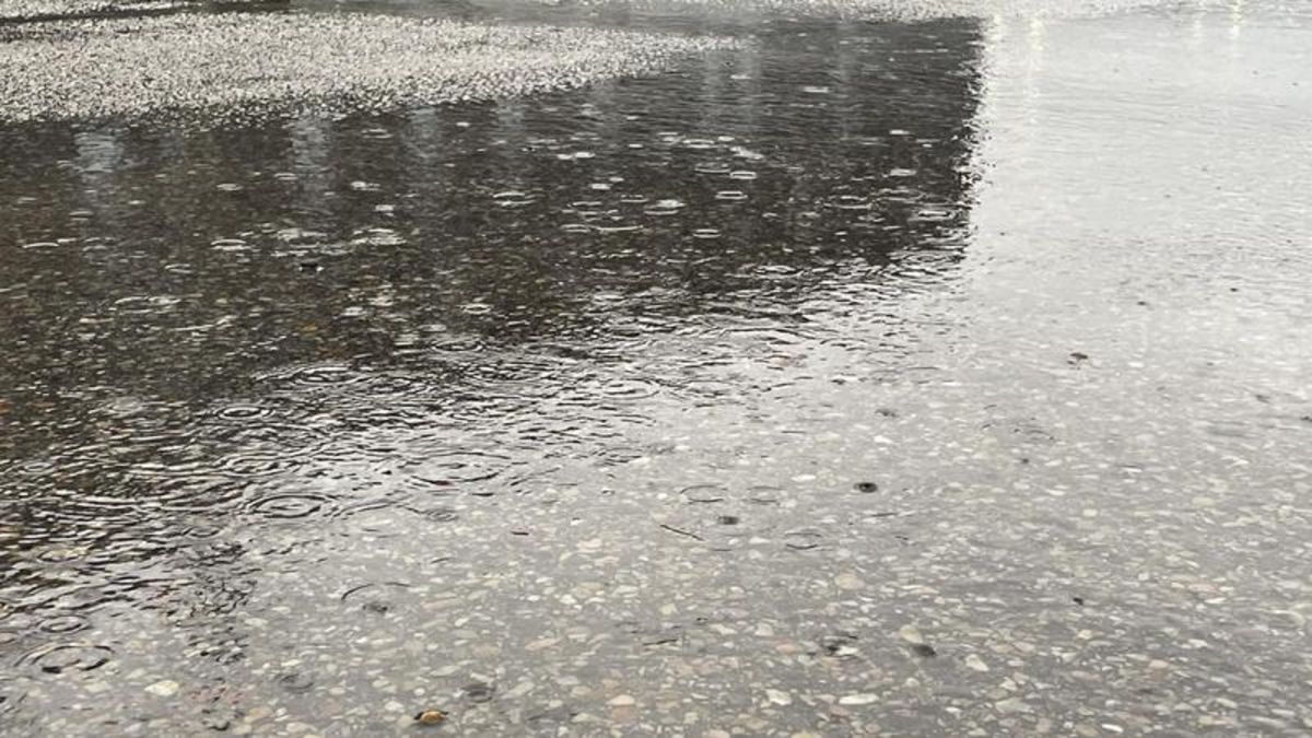 Up to 80 mm of rain in Peace region by Thursday | EverythingGP