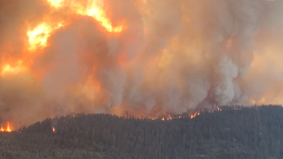 Fire north of Boston Bar grows another 750-plus hectares; 85 ...