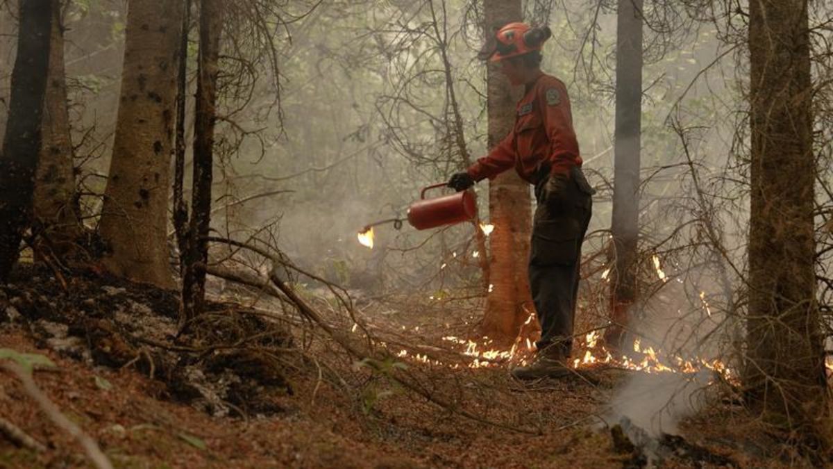 Planned ignitions being done at Ross Moore Lake wildfire | B100