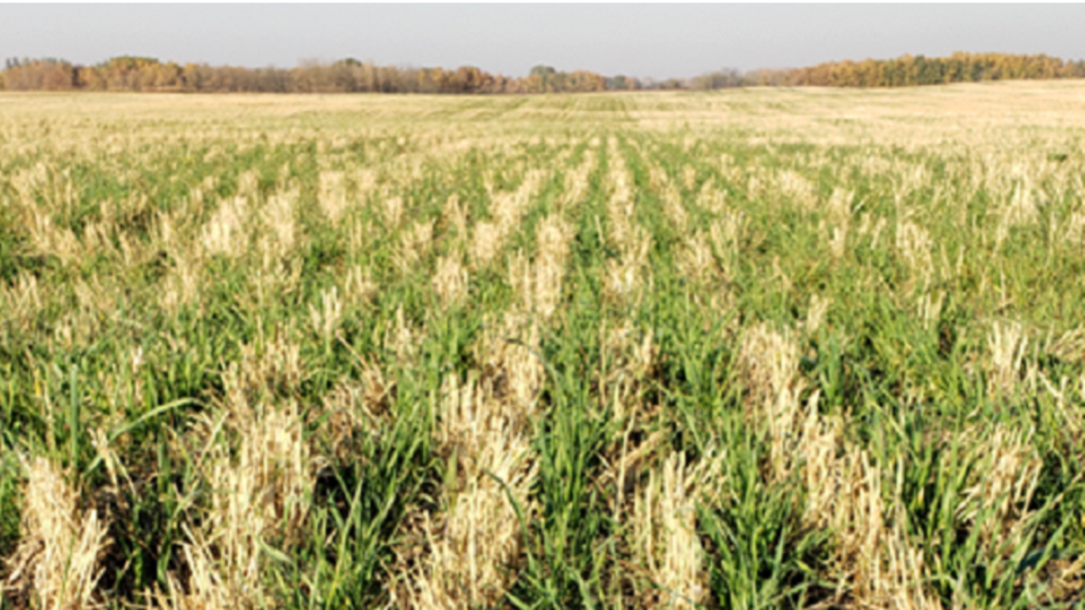 Results Driven Agricultural Research covers a million acres in year one ...