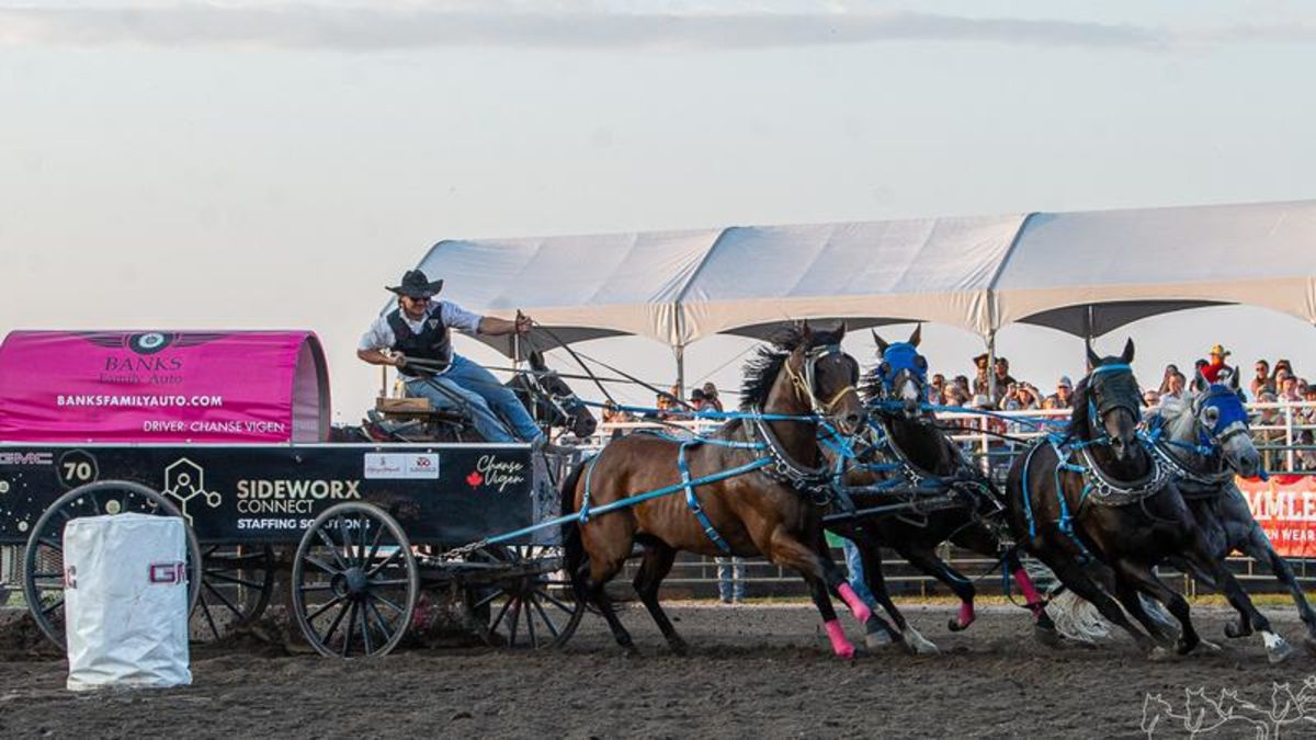 Chanse Vigen declared 2023 World Champion Chuckwagon Driver | EverythingGP