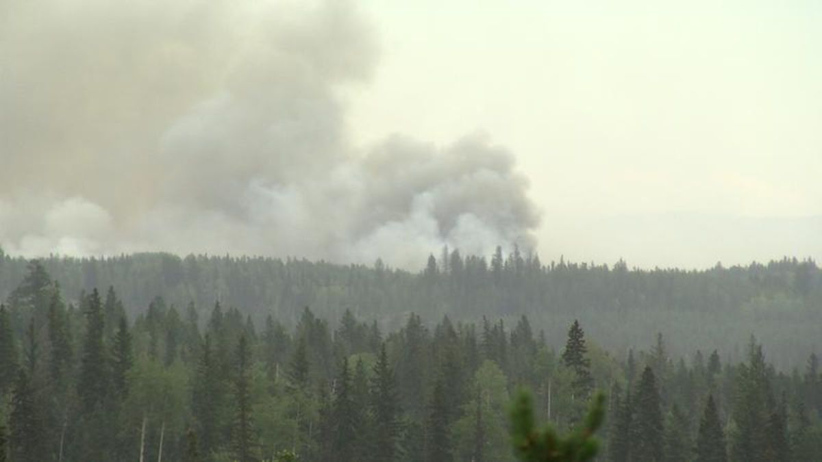 Ross Moore Lake wildfire sees slight increase of activity over weekend ...