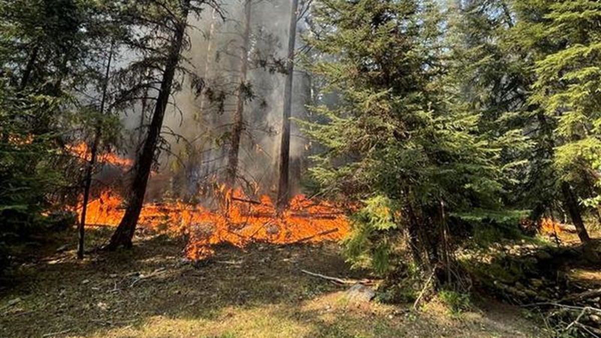 Little rain and little growth on the Ross Moore Lake wildfire south of ...