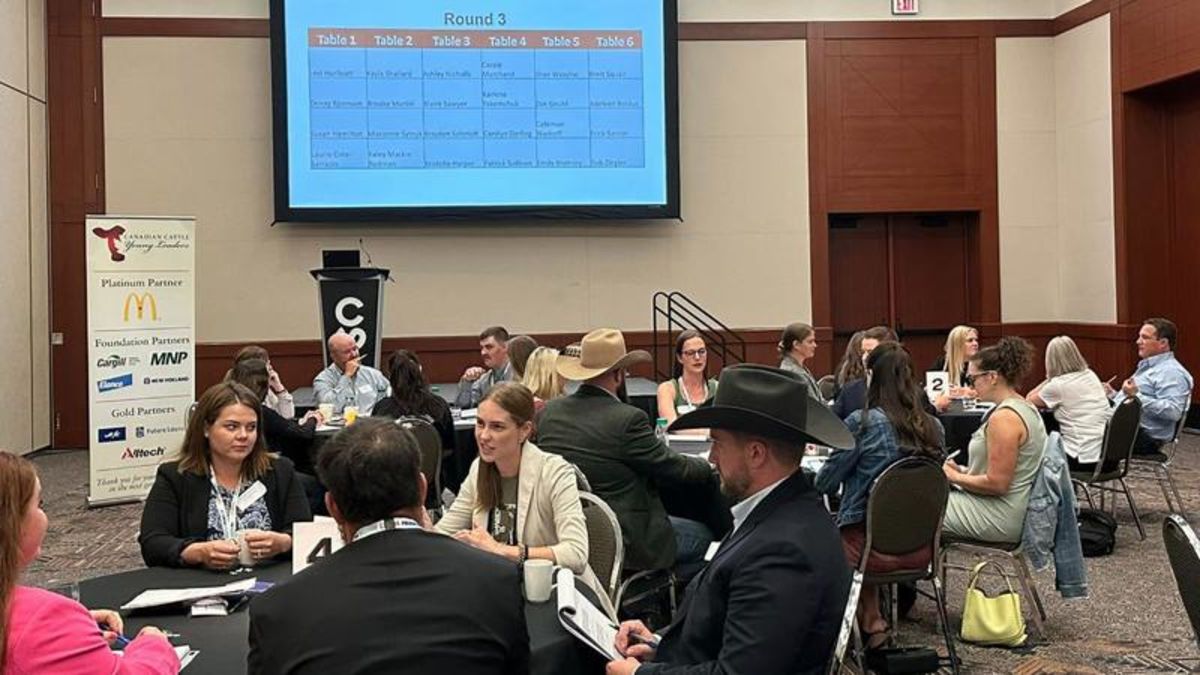 Finalists chosen for Canadian Cattle Young Leaders mentorship program ...