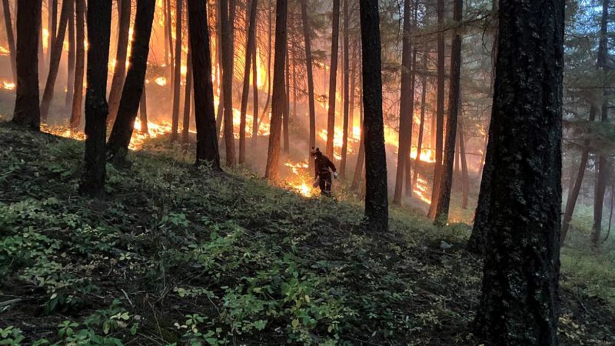 Evacuation alert cancelled at the northern edge of the Koopiki Creek ...