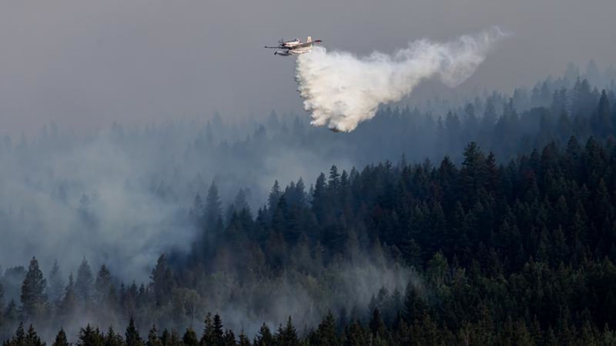 Last evacuation order in Ross Moore Lake Wildfire rescinded to alert ...